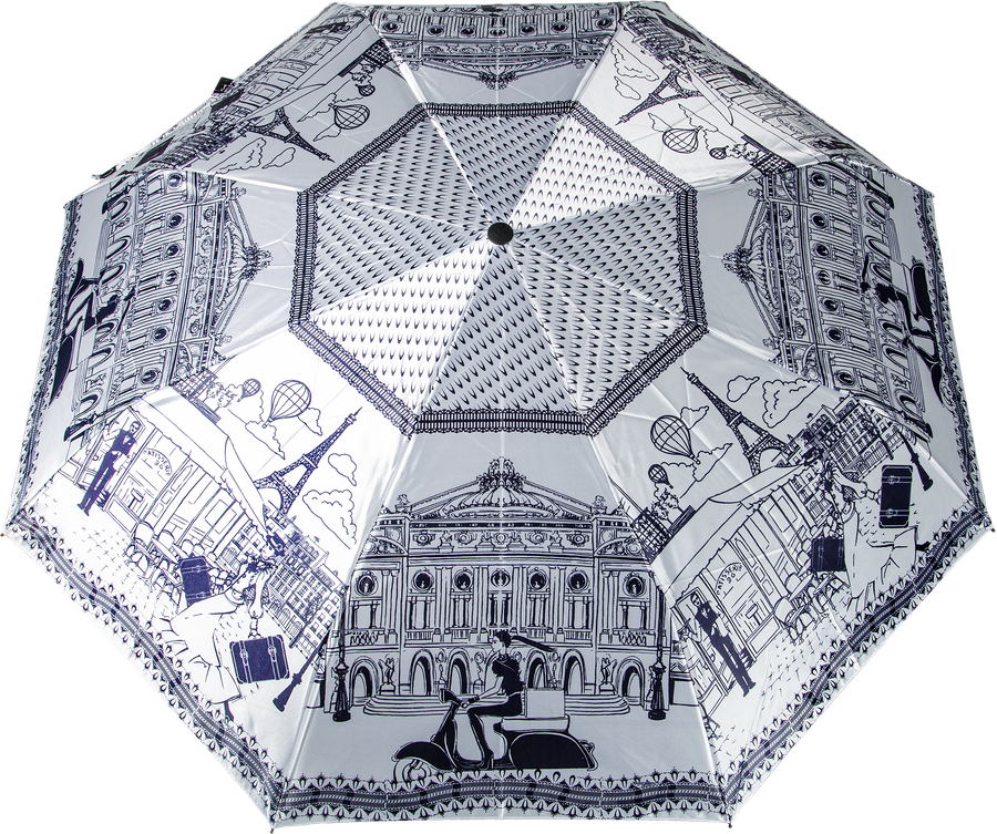 Зонт женский RAINDROPS суперавтомат, Арт. RD73884 - купить онлайн ...